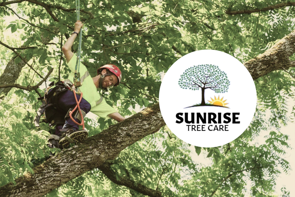 Tree Services Lecompton, KS | Free Estimates | Sunrise Tree Care LLC